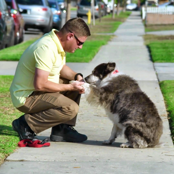 Super Bond | Pets For Vets