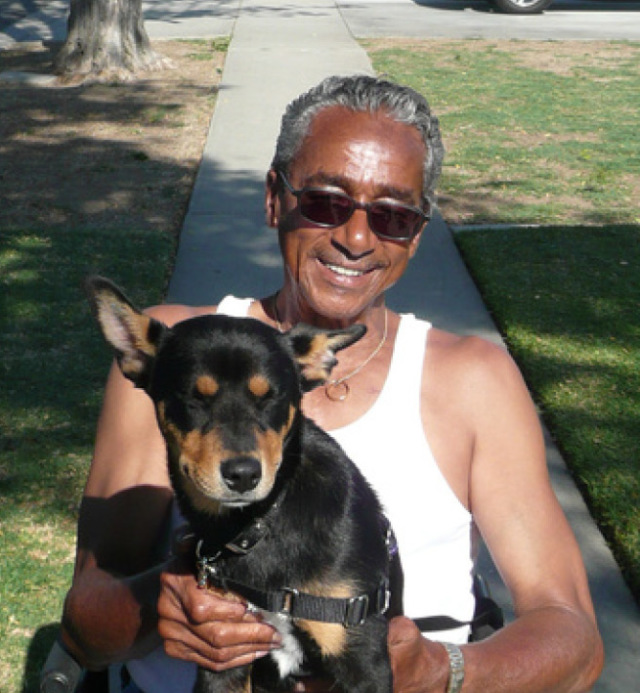 Our Program | Pets For Vets